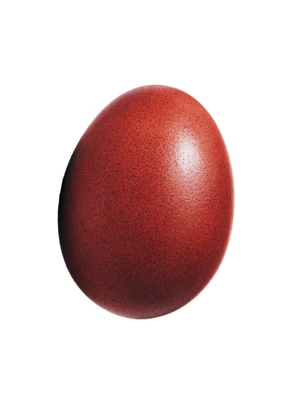 Marans Eier - Die Hopi Bauern